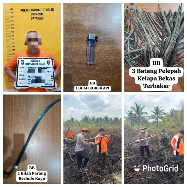 Polres Inhil Tangkap Pelaku Pembakaran Lahan Gambut Seluas 6,5 Hektare di Perbatasan Tembilahan ...