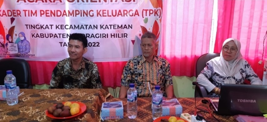 Kader TPK Kecamatan Kateman Ikuti Sosialisasi Penggunaan Aplikasi ...