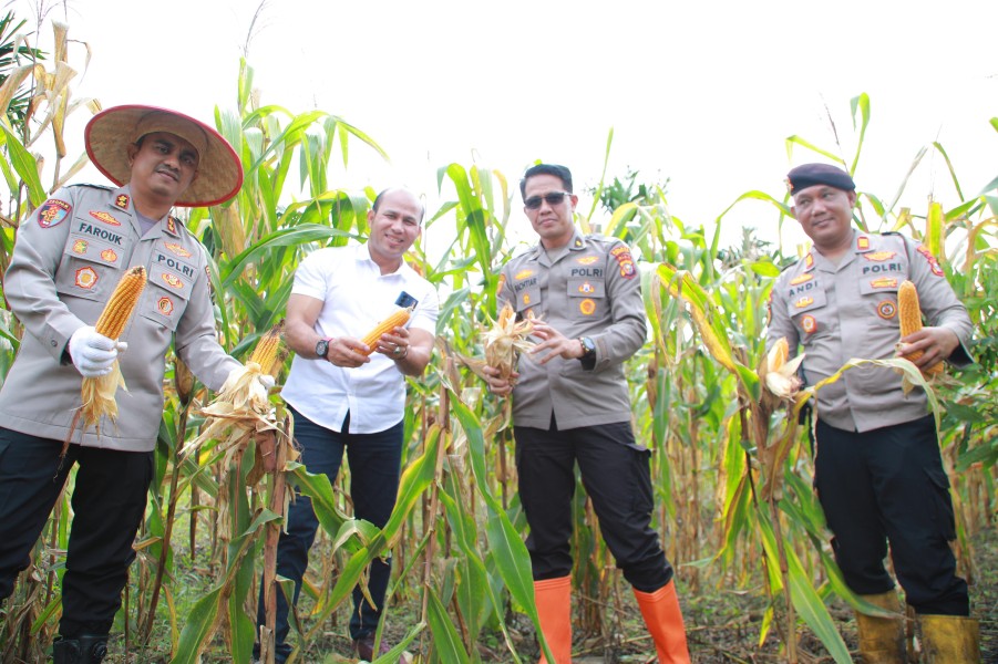 Polres Inhil Laksanakan Panen Raya Jagung Serentak Tahap 1